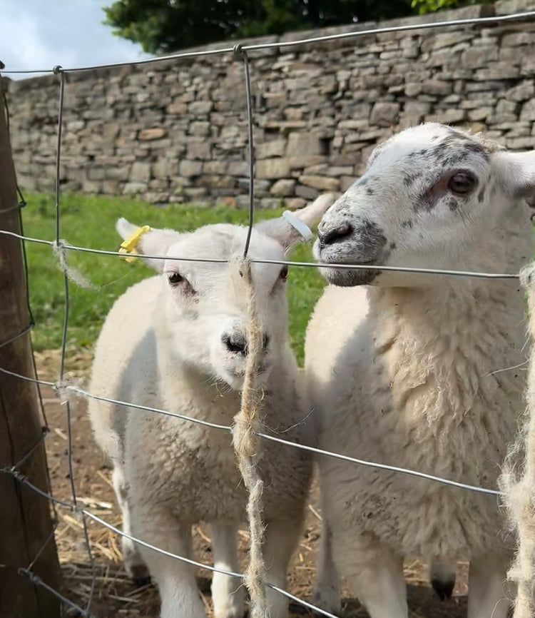 Explore Whirlow Hall Farm | Peak District | Yorkshire – Millstones & Moor