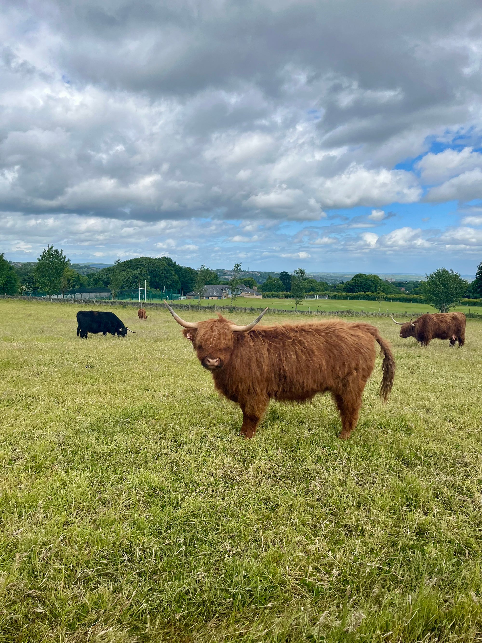 Explore Whirlow Hall Farm | Peak District | Yorkshire – Millstones & Moor