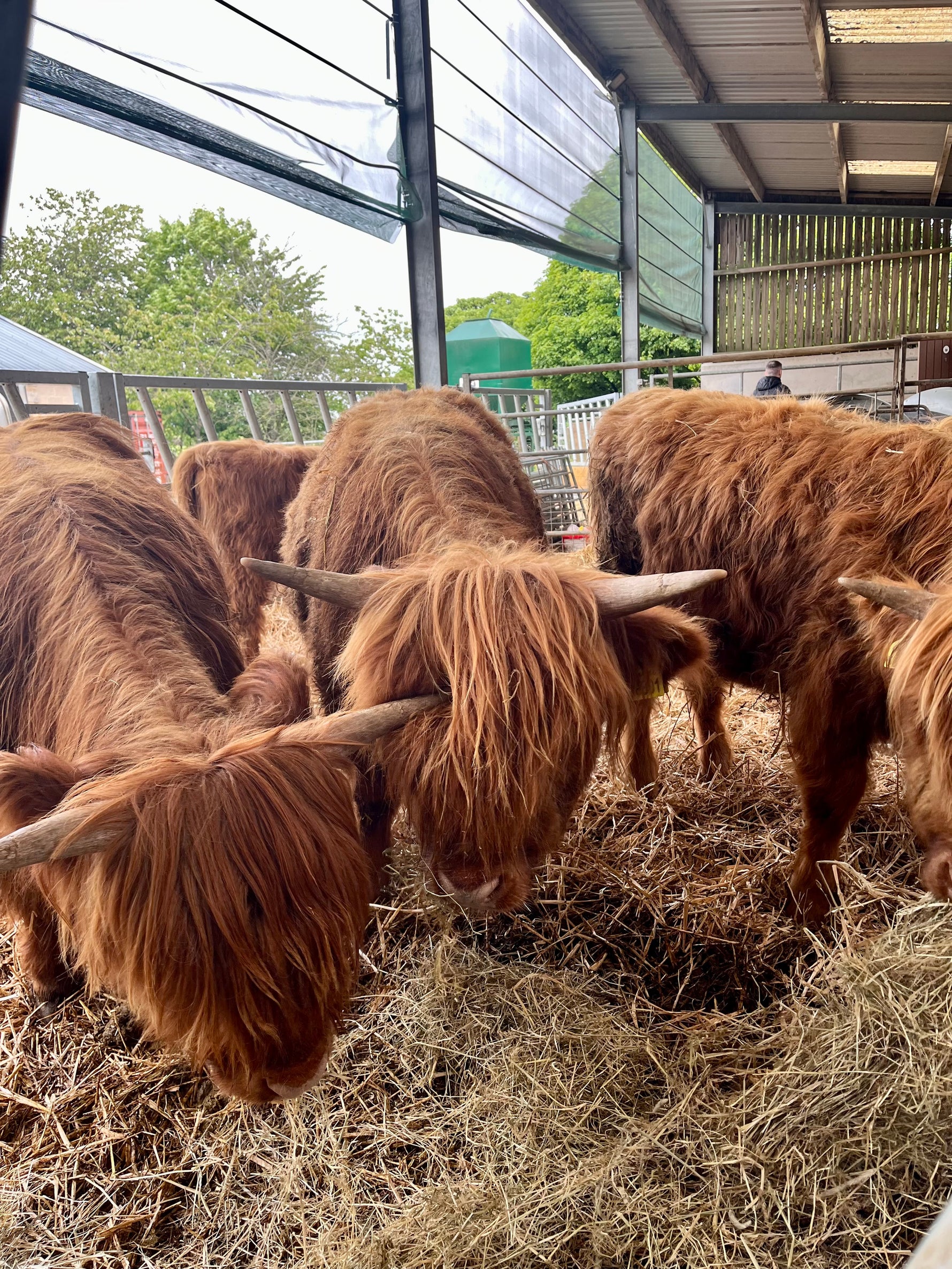 Explore Whirlow Hall Farm | Peak District | Yorkshire – Millstones & Moor