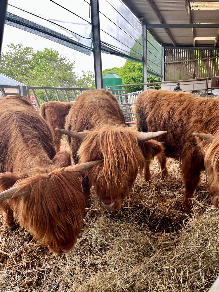Explore Whirlow Hall Farm | Peak District | Yorkshire – Millstones & Moor